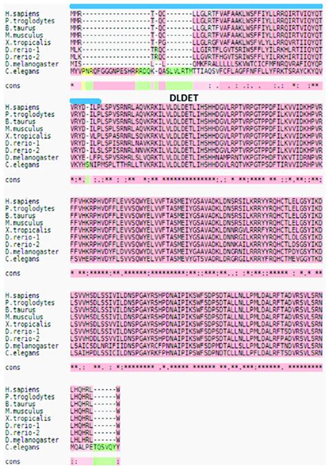 The Multiple Sequence Alignments Of Ctdnep1 Homologs Produced Using