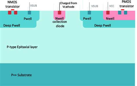 Cross Section Of A Collection Diode Surrounded By Deep P Well Circuit Download Scientific