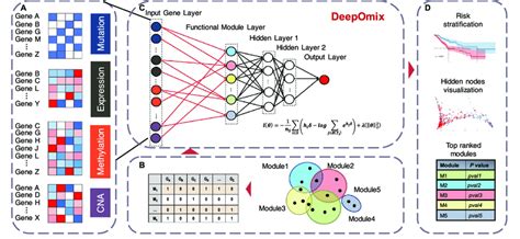 Workflow Of Deepomix A Multi Omics Data At The Gene Level Was Used As Download Scientific