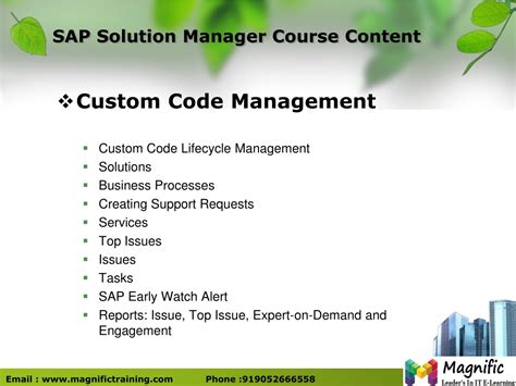PPT Solution Manager Certification Overview Tutorial Online PowerPoint Presentation ID 1499596