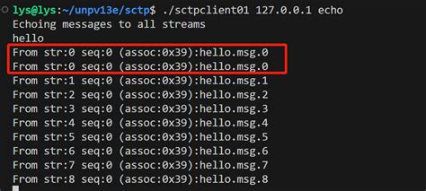 C Duplicated Packets Received In Unix Network Programming About Sctp Stack Overflow
