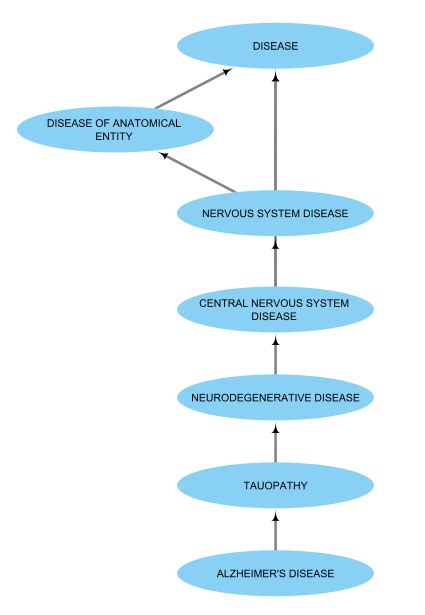 Graph Visualization Cytoscape3 Desktop Dual Labels From Two Columns