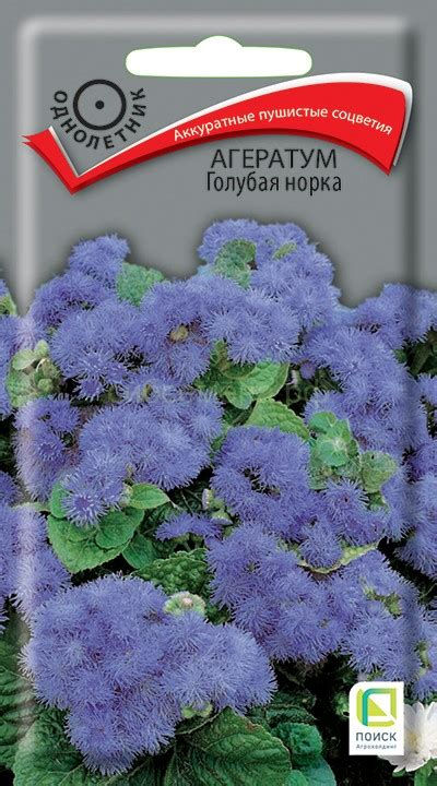 СЕМЕНА ПАКЕТИРОВАННЫЕ — Семена для Сибири