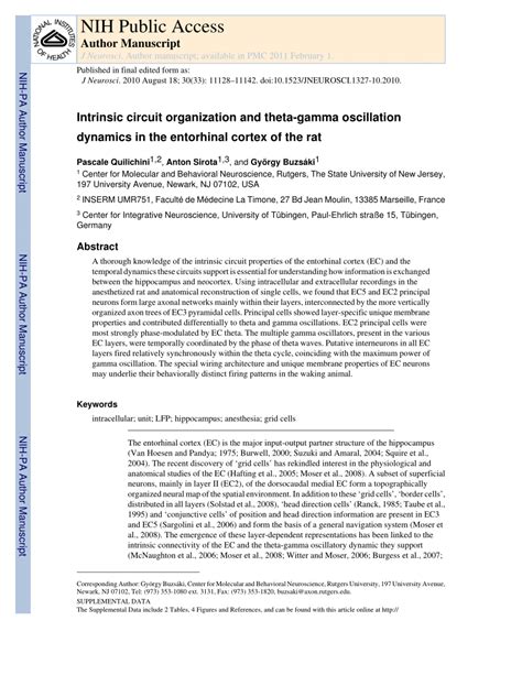 Pdf Intrinsic Circuit Organization And Theta Gamma Oscillation