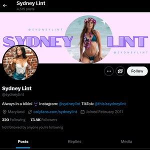 Sydney Lint X Twitter Twitter Porn Accounts Like X