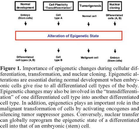Figure 1 From Nuclear Cloning Epigenetic Reprogramming And Cellular