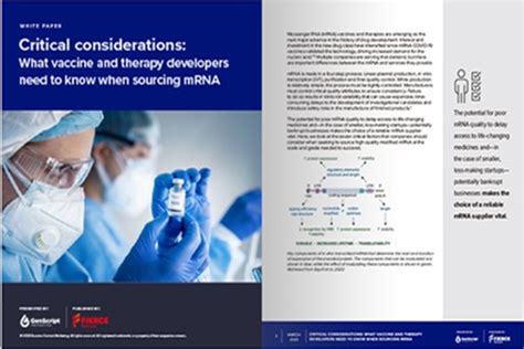 IVT RNA Production Services