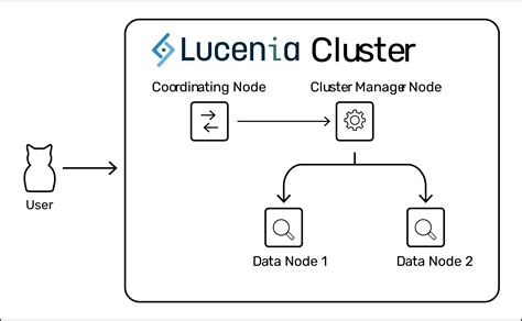Creating And Tuning Your Cluster Lucenia Documentation