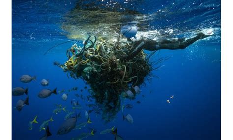 How GPS Trackers And Drones Help Locate Floating Debris Hydro International