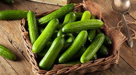 Persian Cucumber • The Difference Nutrition Benefits And Recipes Pana