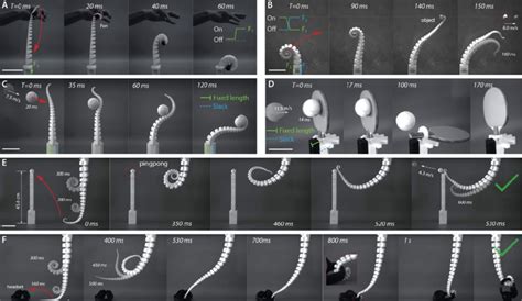 Dynamic Tasks A Image Sequence Of Dynamic Grasping The Experiment Download Scientific