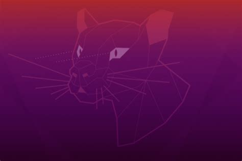 How To Fix Keyboard Not Working After Ubuntu Update TechWiser