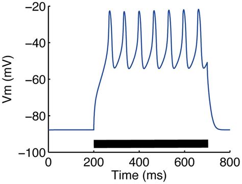 Somatic Calcium Transient Reproduced By Our Model Calcium Spikes