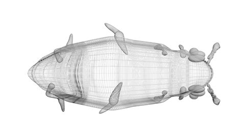 Glow Worm 3d Model Cgtrader