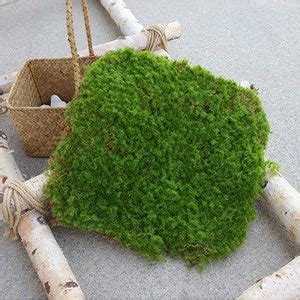 Artificial Moss Skin Moss Block Moss Flocking Etsy