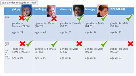 ADD Age Gender Recognition Issue Axinc Ai Ailia Models Tflite GitHub