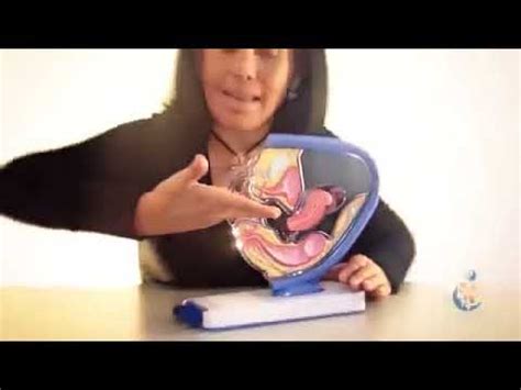 Điểm G cách kích thích điểm G của con gái YouTube