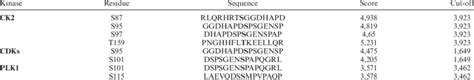 Putative Phosphorylation Sites Identified In The N Terminal Mus81