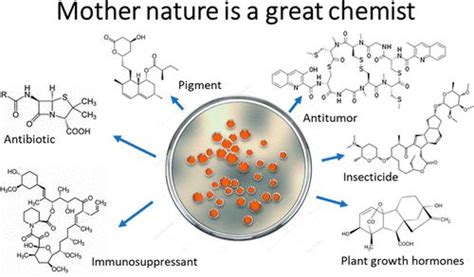 农药研发：一般性讨论和多杀菌素案例 Journal Of Agricultural And Food Chemistry X Mol
