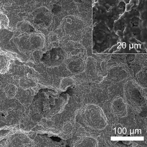 Sem Image Of The Ceramics Fracture Surface After 60 Min Sintering Of