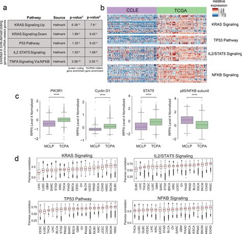 Kras Signaling Tp53 Pathway Il2 Stat5 Signaling And Nfkb Signaling Download Scientific
