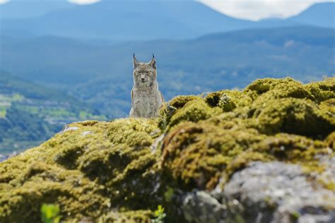 Environmental Dna Biodiversity Data Like Love Is In The Air