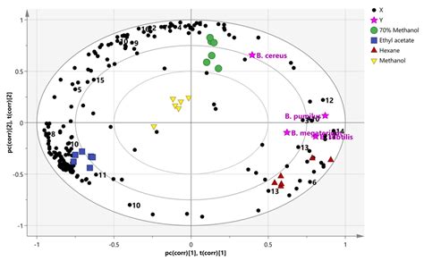 the pls biplot describing the correlation among the phytochemical