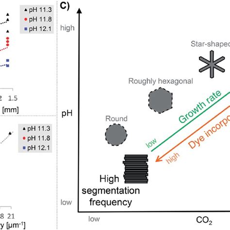 Effect Of Different Parameters On The Spatial Segmentation Frequency Download Scientific