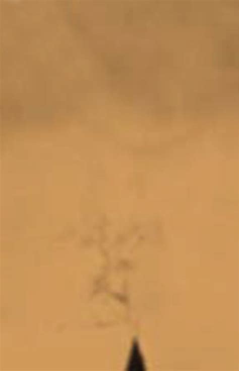 Treeing Morphology In The Propagation State For Epoxy Nanocomposites