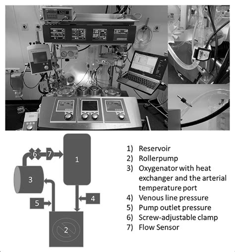 Photograph And Schematic Illustration Of The Simulated Ecmo Circuit Download Scientific Diagram
