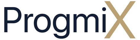 Digital Consulting Services Progmix