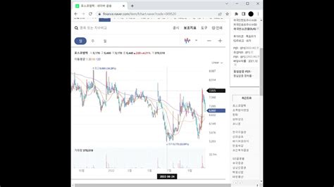 마그네슘 관련주 포스코엠텍 주가 전망 및 차트 분석 Youtube