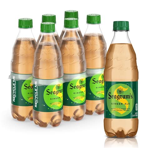 Amazon Com Ginger Ale Pack L Bottles