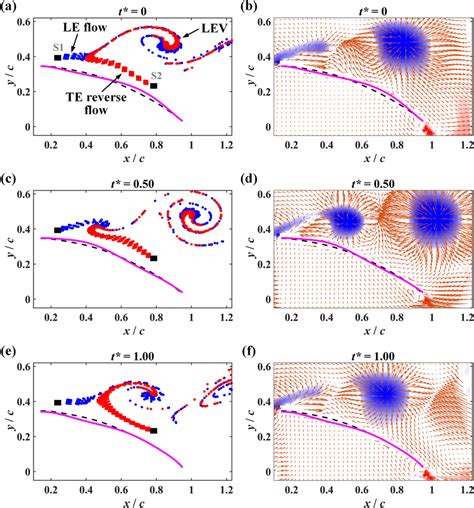 Evolution Of The Instantaneous Flow Structures At α 20° A C E Download Scientific Diagram