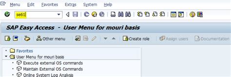 To Display SAP GUI Login Page Information Text