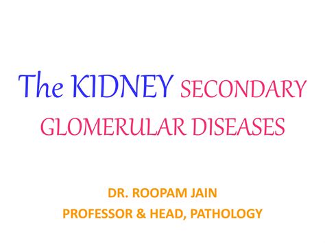Secondary Glomerular Diseases Pptx