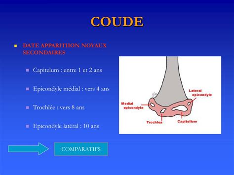 Ppt Anatomie Radiologique Du Coude Powerpoint Presentation Free