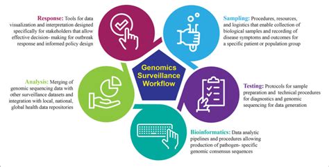 Overview Of End To End Genomics Based Surveillance Workflow