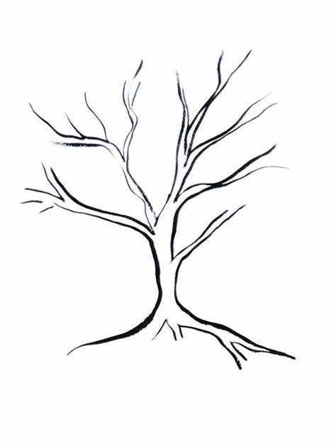 How To Draw A Simple Tree Without Leaves Peterainsworth