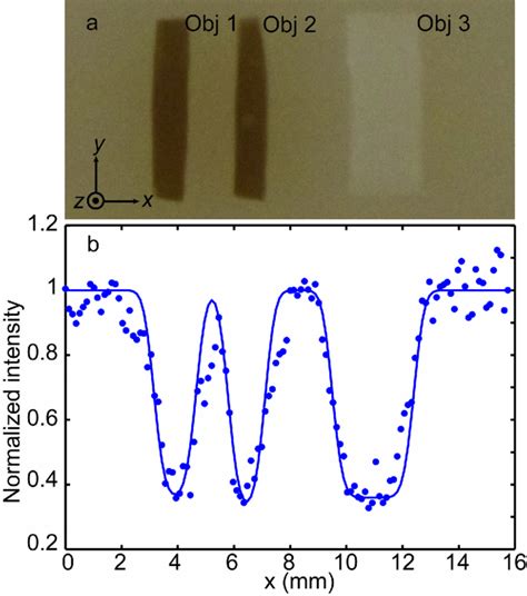 Time Reversed Ultrasonically Encoded Optical Focusing Into Tissue Mimicking Media With Thickness