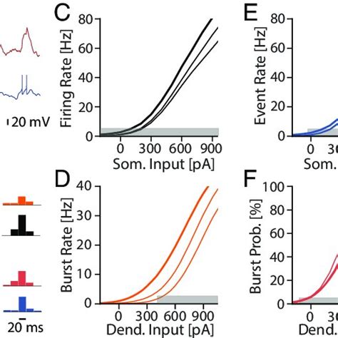 input output functions for distinct spike timing patterns a the
