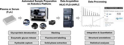 Overview Of The High Throughput Workfl Ow For Sample Preparation And Download Scientific