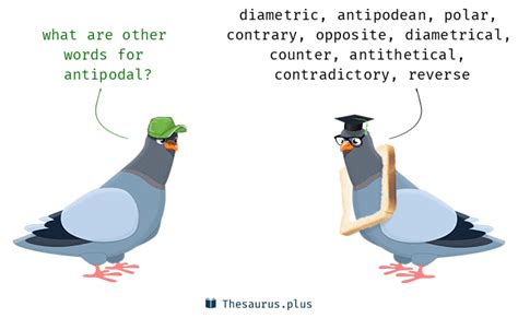 Antipodal Synonyms And Antipodal Antonyms Similar And Opposite Words For Antipodal In Thesaurus