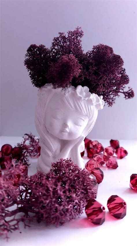 Стабілізований Мох гіпсове кашпо композиції 255 грн Предметы искусства Черновцы на Olx