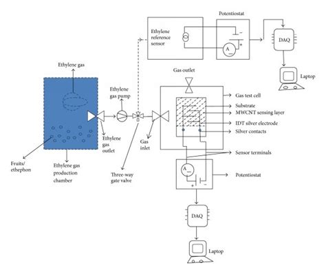 Schematic Of The Ethylene Sensor Laboratory Setup Download Scientific Diagram