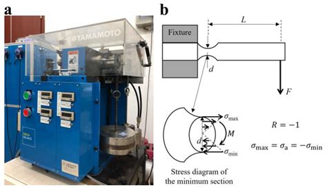 Effects Of Natural Aging And Discontinuous Cyclic Loading On High Cycle