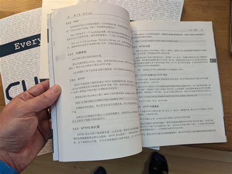 everything curl in chinese