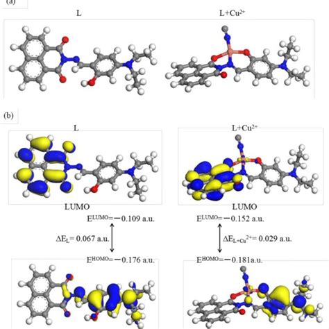 A Dft Optimized Structure Of The L And L Cu²⁺ Complex Evaluated At