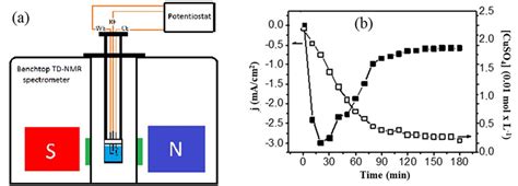 A Representation For The In Situ Electrochemistry System Coupled To