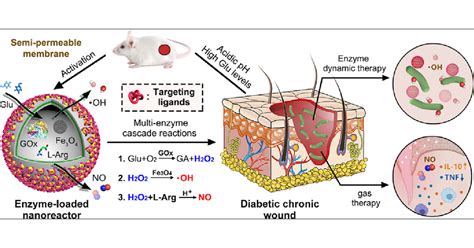 Targeting And Microenvironment Activated Nanoreactor For Diabetic